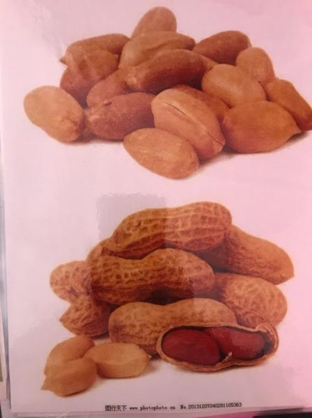 花生英语怎么样_花生英语靠谱吗-第3张图片-山城妙识 花生英语怎么样_花生英语靠谱吗-第3张图片-山城妙识