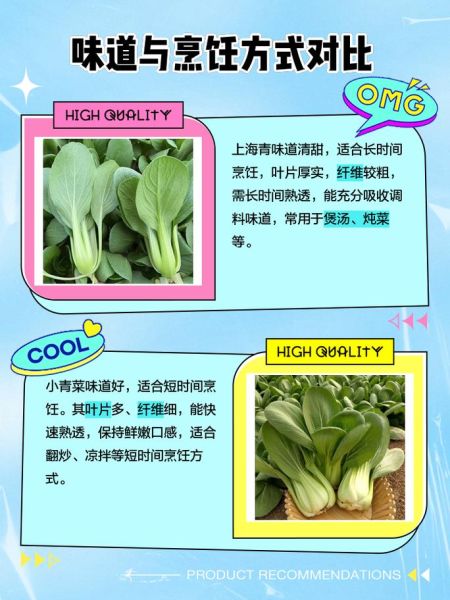 青菜有哪些种类_如何挑选新鲜青菜-第1张图片-山城妙识