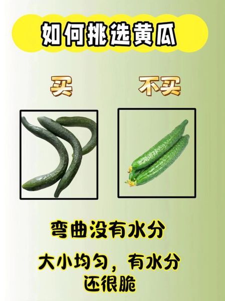 青菜有哪些种类_如何挑选新鲜青菜-第3张图片-山城妙识