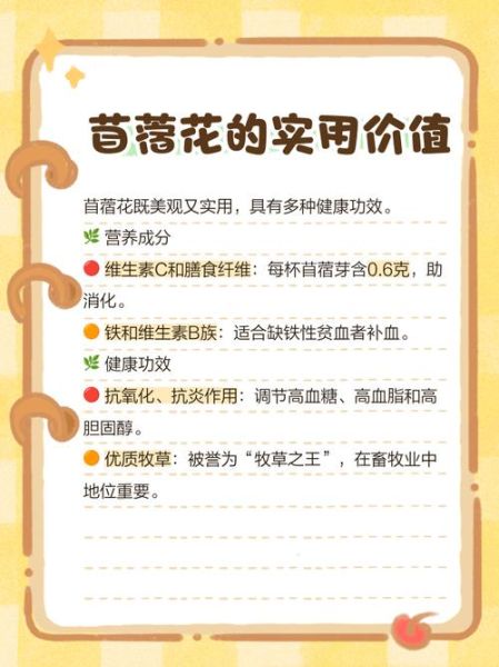 苜蓿花怎么吃_苜蓿花食用禁忌-第2张图片-山城妙识