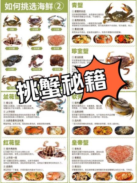 小螃蟹怎么吃图解_小螃蟹怎么清洗图解-第3张图片-山城妙识