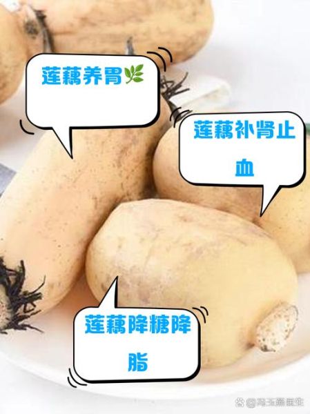 莲藕的营养价值_莲藕吃了有什么好处-第3张图片-山城妙识