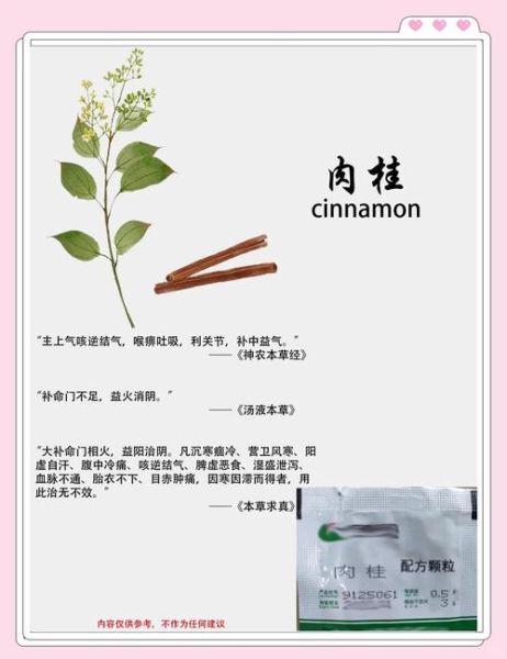 肉桂的功效与作用及禁忌_肉桂怎么吃不上火-第2张图片-山城妙识 肉桂的功效与作用及禁忌_肉桂怎么吃不上火-第2张图片-山城妙识