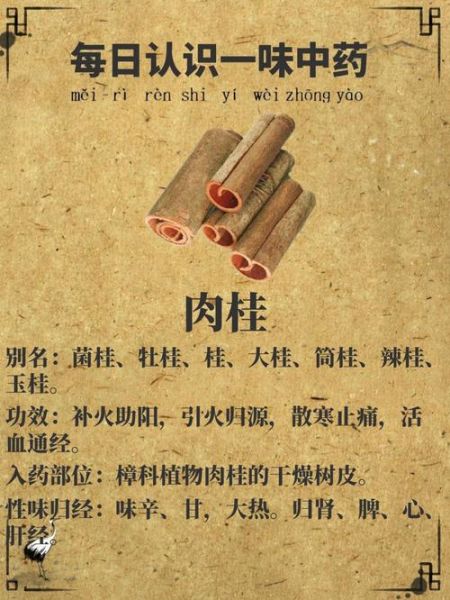 肉桂的功效与作用及禁忌_肉桂怎么吃不上火-第1张图片-山城妙识 肉桂的功效与作用及禁忌_肉桂怎么吃不上火-第1张图片-山城妙识