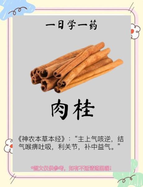 肉桂的功效与作用及禁忌_肉桂怎么吃不上火-第3张图片-山城妙识 肉桂的功效与作用及禁忌_肉桂怎么吃不上火-第3张图片-山城妙识