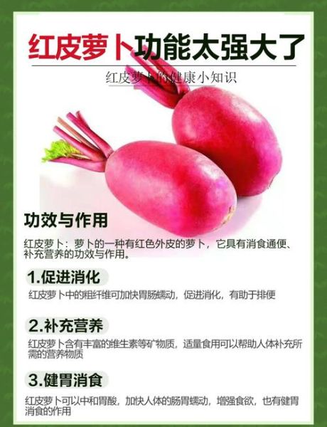 红萝卜的营养价值_红萝卜怎么吃最营养-第1张图片-山城妙识