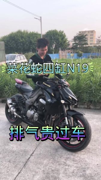 菜花蛇摩托车多少钱_2024年最新价格行情-第3张图片-山城妙识