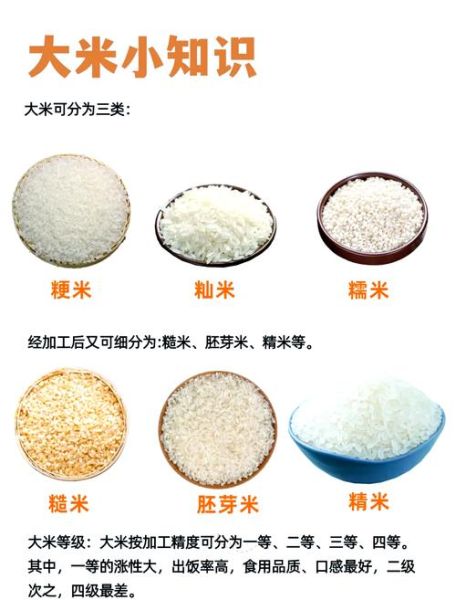 粳米和普通大米的区别_粳米适合糖尿病人吃吗-第1张图片-山城妙识
