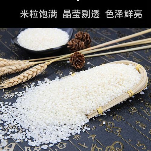 粳米和普通大米的区别_粳米适合糖尿病人吃吗-第3张图片-山城妙识