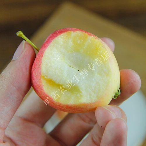 沙果是苹果吗_沙果和海棠果的区别-第3张图片-山城妙识