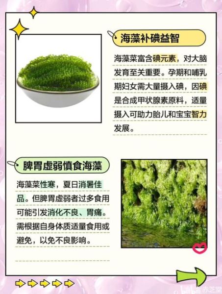 海藻冻的功效与作用禁忌_哪些人不能吃-第3张图片-山城妙识