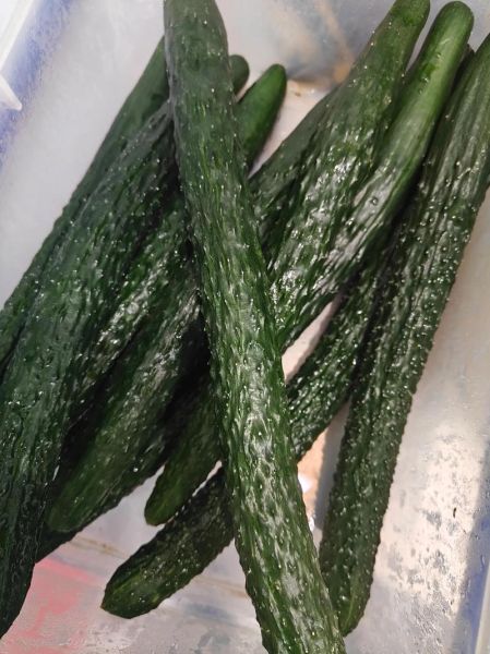 10斤酱黄瓜怎么腌制_正宗做法步骤-第3张图片-山城妙识 10斤酱黄瓜怎么腌制_正宗做法步骤-第3张图片-山城妙识