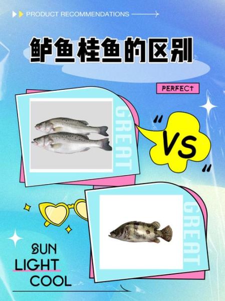 丁桂鱼和鲈鱼哪个营养价值高_区别对比-第2张图片-山城妙识