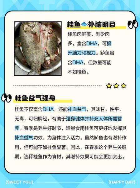 丁桂鱼和鲈鱼哪个营养价值高_区别对比-第1张图片-山城妙识