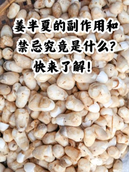 半夏的功效与作用_半夏的副作用有哪些-第3张图片-山城妙识