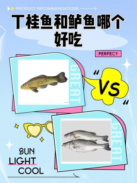 丁桂鱼和鲈鱼哪个营养价值高_区别对比-第3张图片-山城妙识
