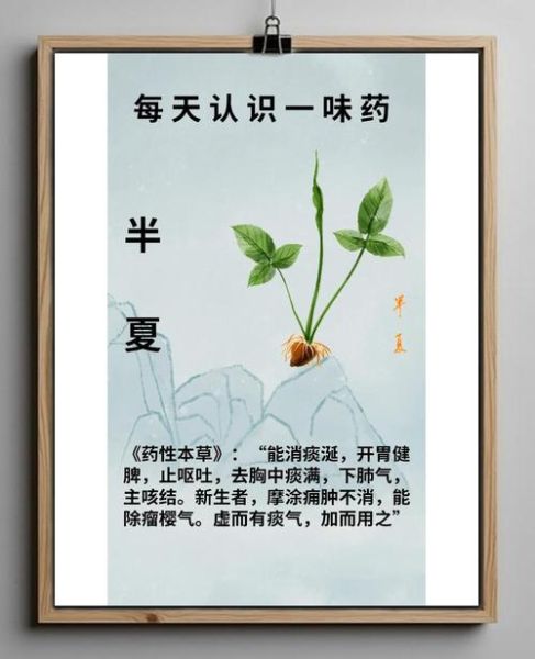 半夏的功效与作用_半夏的副作用有哪些-第2张图片-山城妙识