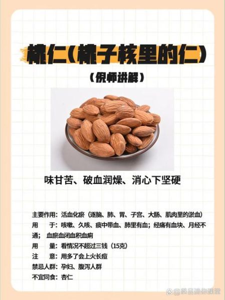 桃仁的作用与功效有哪些_桃仁怎么吃效果最好-第1张图片-山城妙识