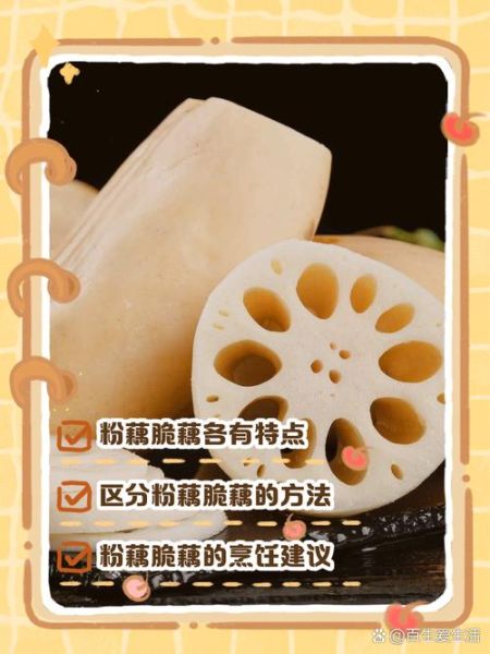 粉藕和脆藕的区别_哪个更好吃-第2张图片-山城妙识 粉藕和脆藕的区别_哪个更好吃-第2张图片-山城妙识