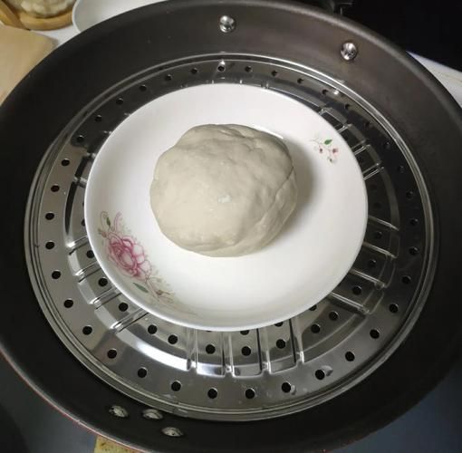 在家做包子步骤图解_包子皮怎么发面才松软-第3张图片-山城妙识