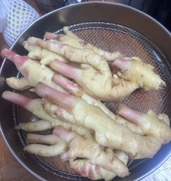 嫩姜怎么泡又脆又嫩_嫩姜泡制秘诀-第1张图片-山城妙识
