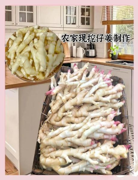嫩姜怎么泡又脆又嫩_嫩姜泡制秘诀-第2张图片-山城妙识