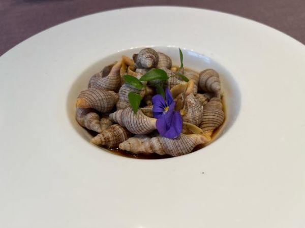 香螺养殖视频在线观看_香螺养殖技术视频教程-第2张图片-山城妙识 香螺养殖视频在线观看_香螺养殖技术视频教程-第2张图片-山城妙识