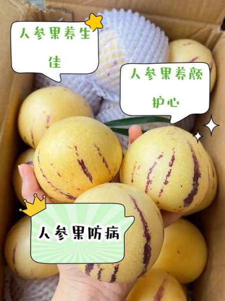人参果的营养价值_孕妇能吃吗-第1张图片-山城妙识