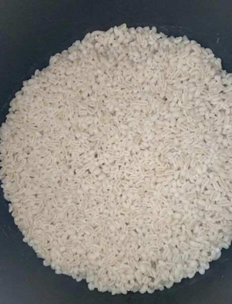 大麦饭的功效与作用_怎么吃最养胃-第1张图片-山城妙识 大麦饭的功效与作用_怎么吃最养胃-第1张图片-山城妙识