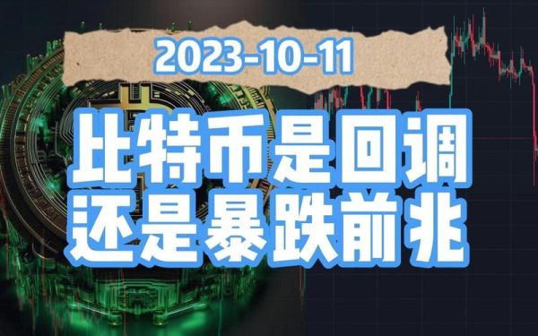 大饼是什么币_比特币为什么叫大饼-第3张图片-山城妙识