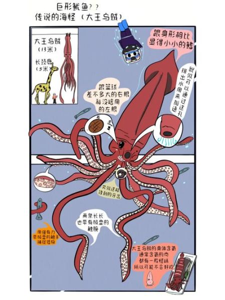 大王乌贼会吃人吗_深海袭击人类真相-第2张图片-山城妙识
