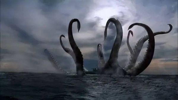 大王乌贼会吃人吗_深海袭击人类真相-第1张图片-山城妙识