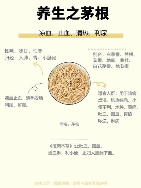 茅根的功效与作用_茅根怎么泡水喝-第1张图片-山城妙识 茅根的功效与作用_茅根怎么泡水喝-第1张图片-山城妙识