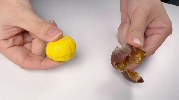 板栗怎么快速剥壳_生板栗去壳最快方法-第2张图片-山城妙识 板栗怎么快速剥壳_生板栗去壳最快方法-第2张图片-山城妙识