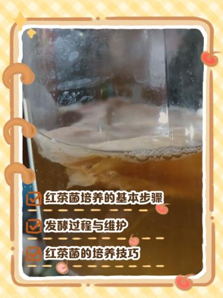 红茶菌怎么养_红茶菌多久换一次水-第1张图片-山城妙识