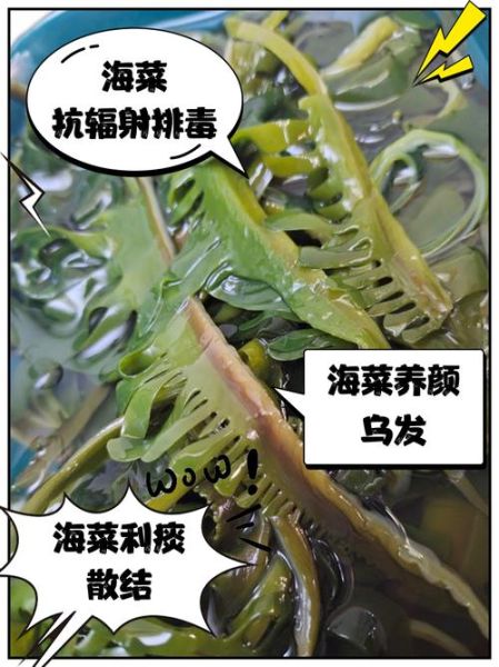 海菜有哪些种类_海菜图片怎么识别真假-第2张图片-山城妙识 海菜有哪些种类_海菜图片怎么识别真假-第2张图片-山城妙识