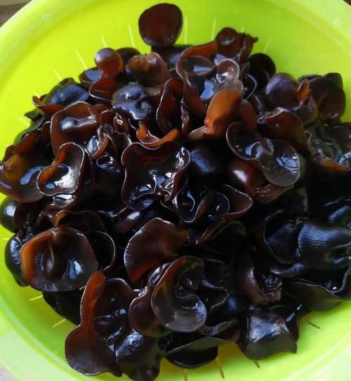 炒木耳需要焯水吗_木耳焯水多久才安全-第2张图片-山城妙识 炒木耳需要焯水吗_木耳焯水多久才安全-第2张图片-山城妙识