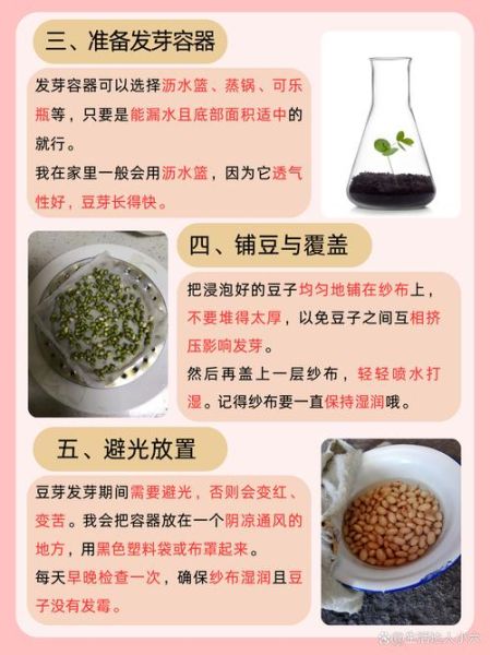 豆芽怎么种_家庭无土栽培步骤-第2张图片-山城妙识 豆芽怎么种_家庭无土栽培步骤-第2张图片-山城妙识