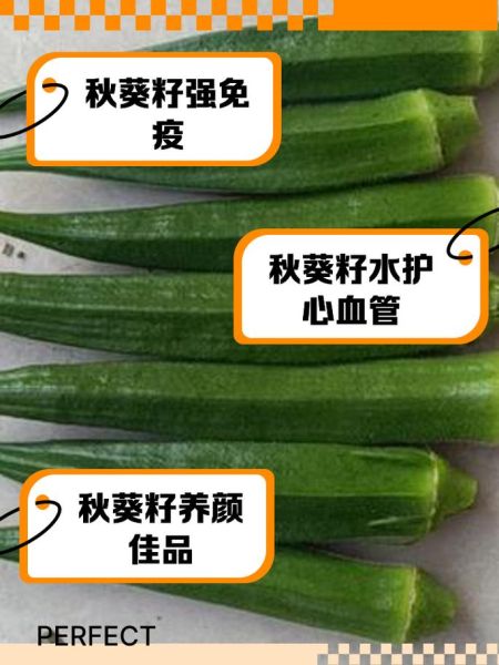 秋葵种子泡水喝的正确方法_秋葵种子泡水一天喝几次-第1张图片-山城妙识