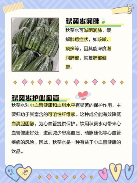 秋葵种子泡水喝的正确方法_秋葵种子泡水一天喝几次-第3张图片-山城妙识