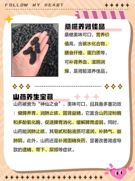 补肾食疗配方有哪些_肾虚吃什么食物最快见效-第3张图片-山城妙识