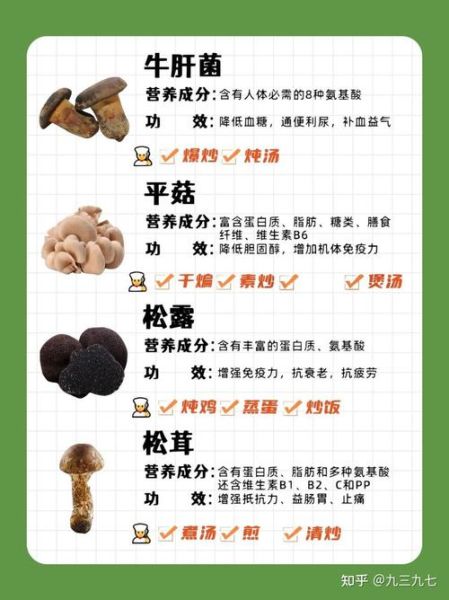 花菇的功效与作用_花菇怎么吃最营养-第1张图片-山城妙识