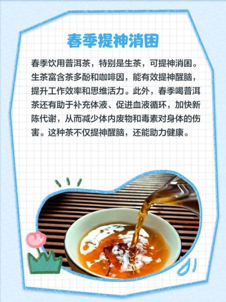 普洱茶什么时候喝最好_普洱茶最佳饮用时间-第1张图片-山城妙识 普洱茶什么时候喝最好_普洱茶最佳饮用时间-第1张图片-山城妙识