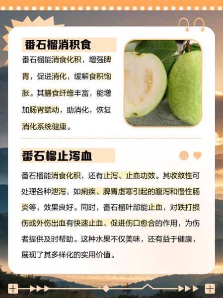 番石榴果有什么作用与功效_番石榴果怎么吃最好-第2张图片-山城妙识