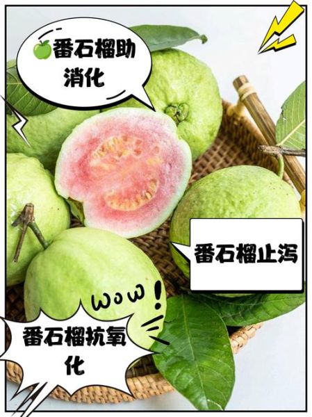 番石榴果有什么作用与功效_番石榴果怎么吃最好-第1张图片-山城妙识