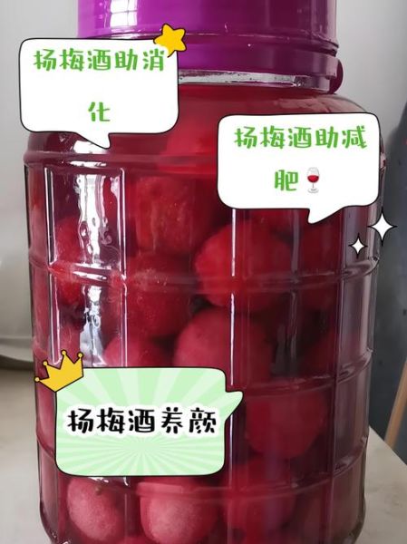 杨梅酒的家庭酿制方法_杨梅酒用什么酒泡最好-第2张图片-山城妙识