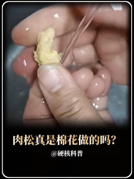 棉花真的可以做成肉松吗_肉松造假真相-第1张图片-山城妙识