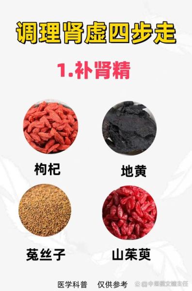 什么补肾最好效果最好_肾虚怎么调理最快-第2张图片-山城妙识