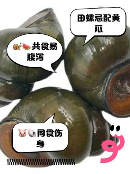 田螺的功效与作用_吃田螺的禁忌有哪些-第1张图片-山城妙识