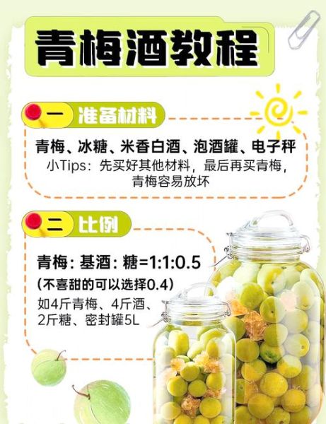 青梅酒的做法_青梅酒怎么泡好喝-第1张图片-山城妙识